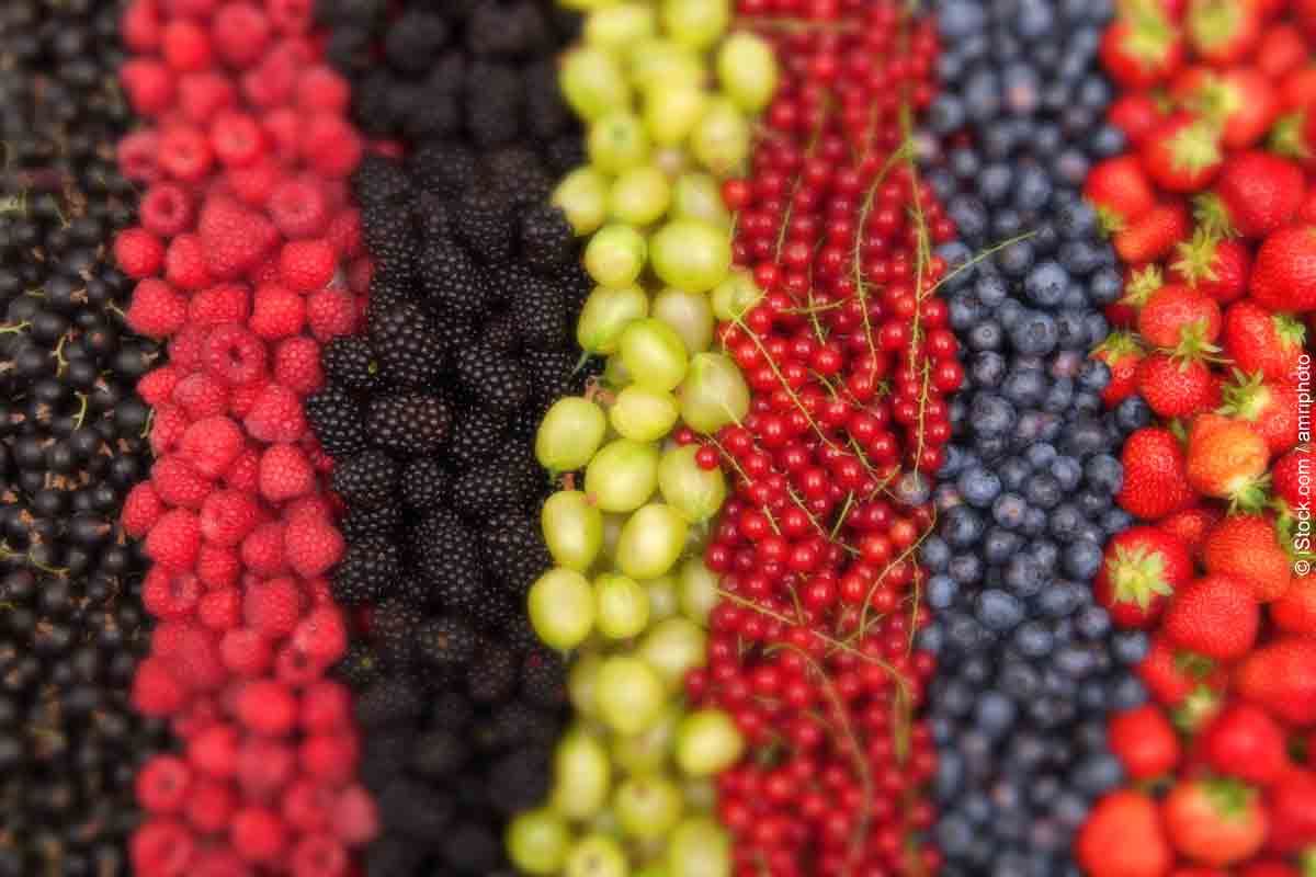 Consuming An All Fruit Diet Exposes You To Many Health Hazards