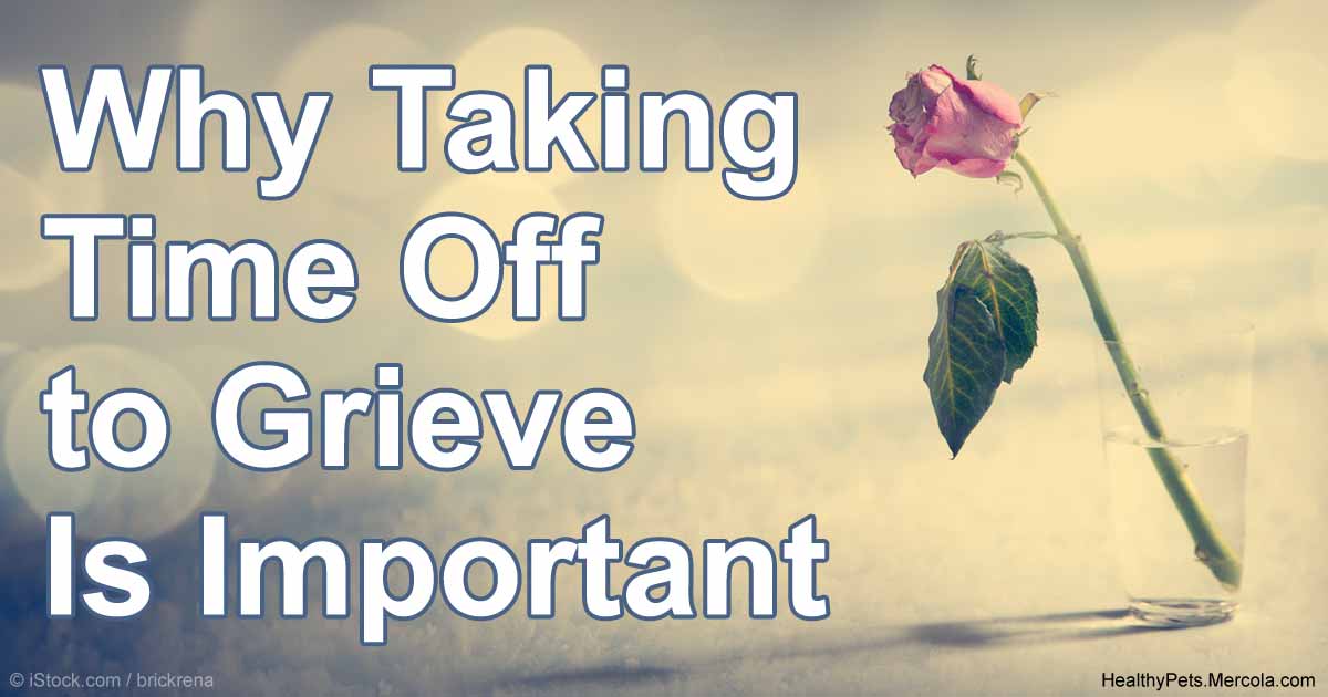 Paid Pet Bereavement Days