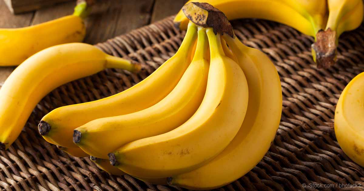 All You Ever Wanted To Know About Bananas All You Ever Wanted To Know About Bananas