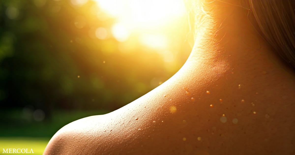 Daylight Exposure Linked to Better Blood Sugar Control