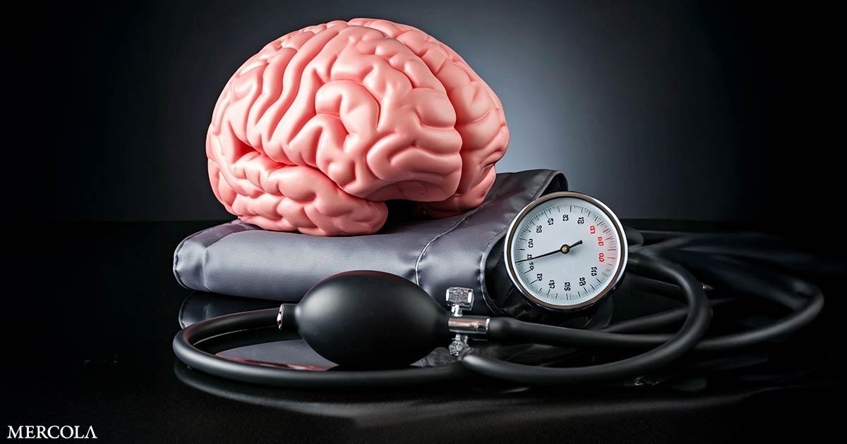 Hypertension and Brain Health - How High Blood Pressure Damages Your Brain