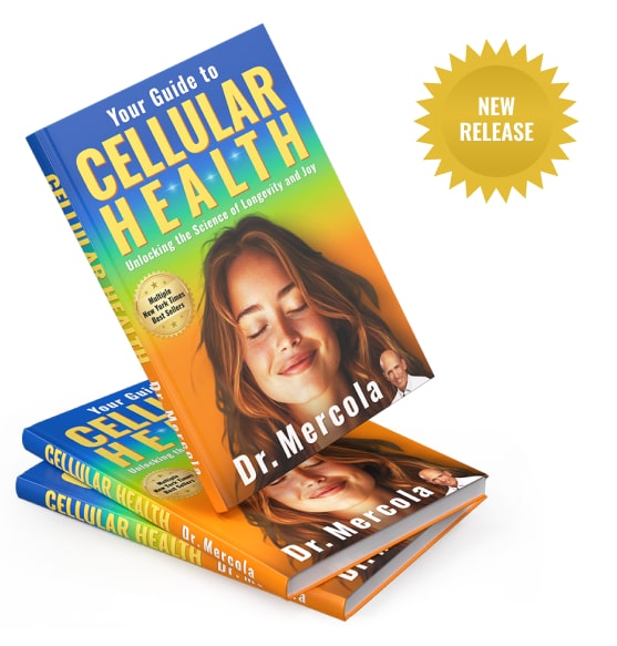 Joy House Publishing | Bound by Words, Driven by Purpose