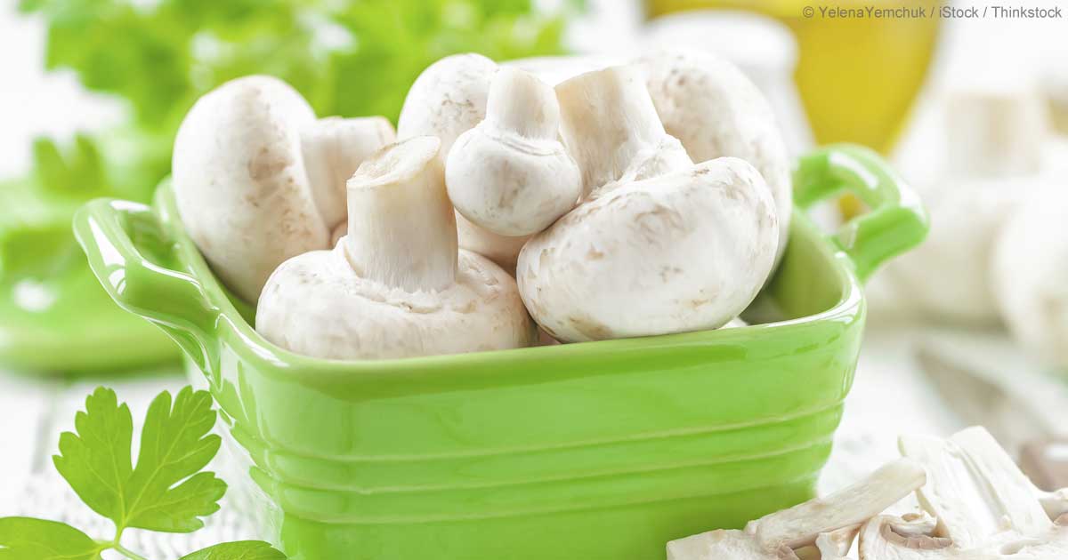 Los Muchos Beneficios de los Hongos Comestibles
