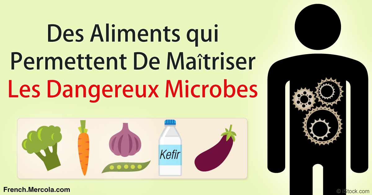 Comment préserver les bactéries intestinales