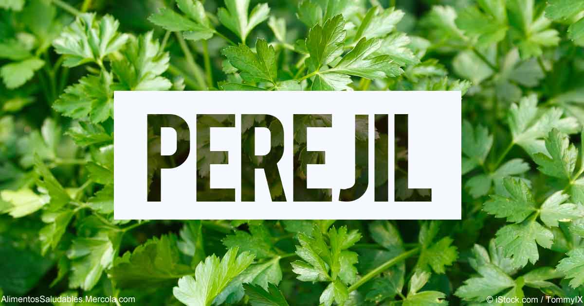 Beneficios del Perejil – Mercola.com