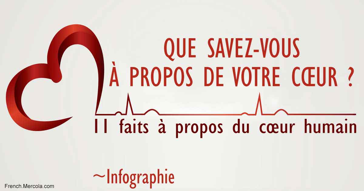 11 faits passionnants à propos du cœur humain