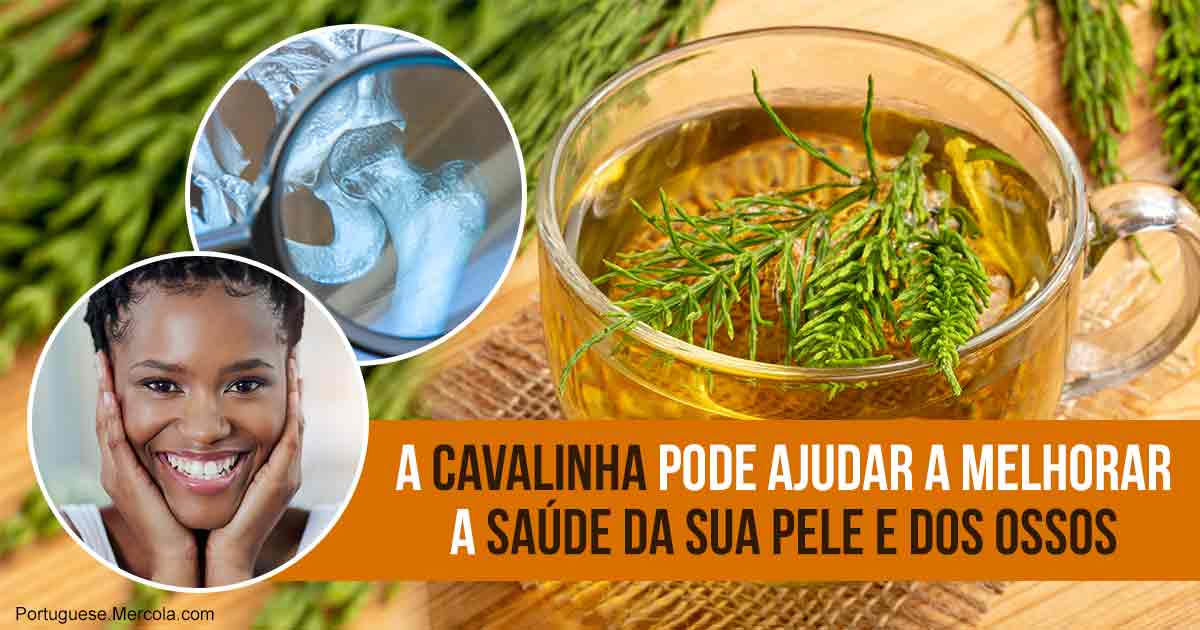 Quais são os usos e benefícios da cavalinha?