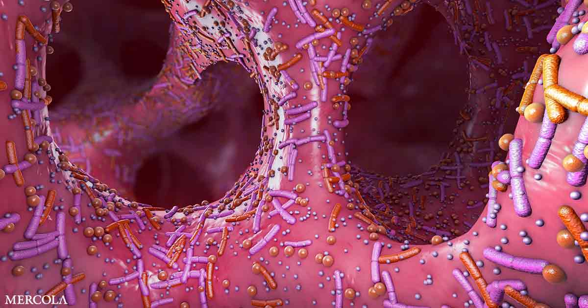 Cercasi donatori per trapianti fecali