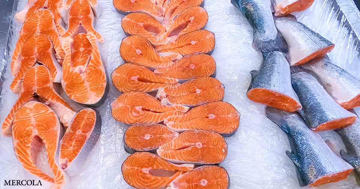 Você está trocando ômega 3 por PCBs com sua escolha de salmão?