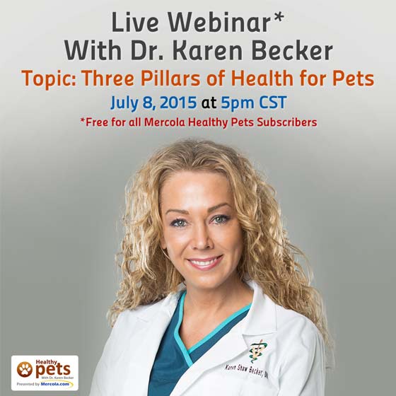 3 Pillars of Health for Pets Live Webinar with Dr. Karen Becker